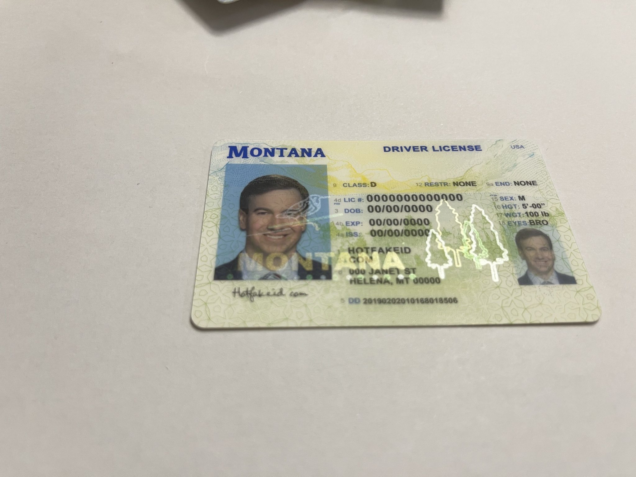 Buy Scannable Illinois Fake ID - Hot Fake IDs Online