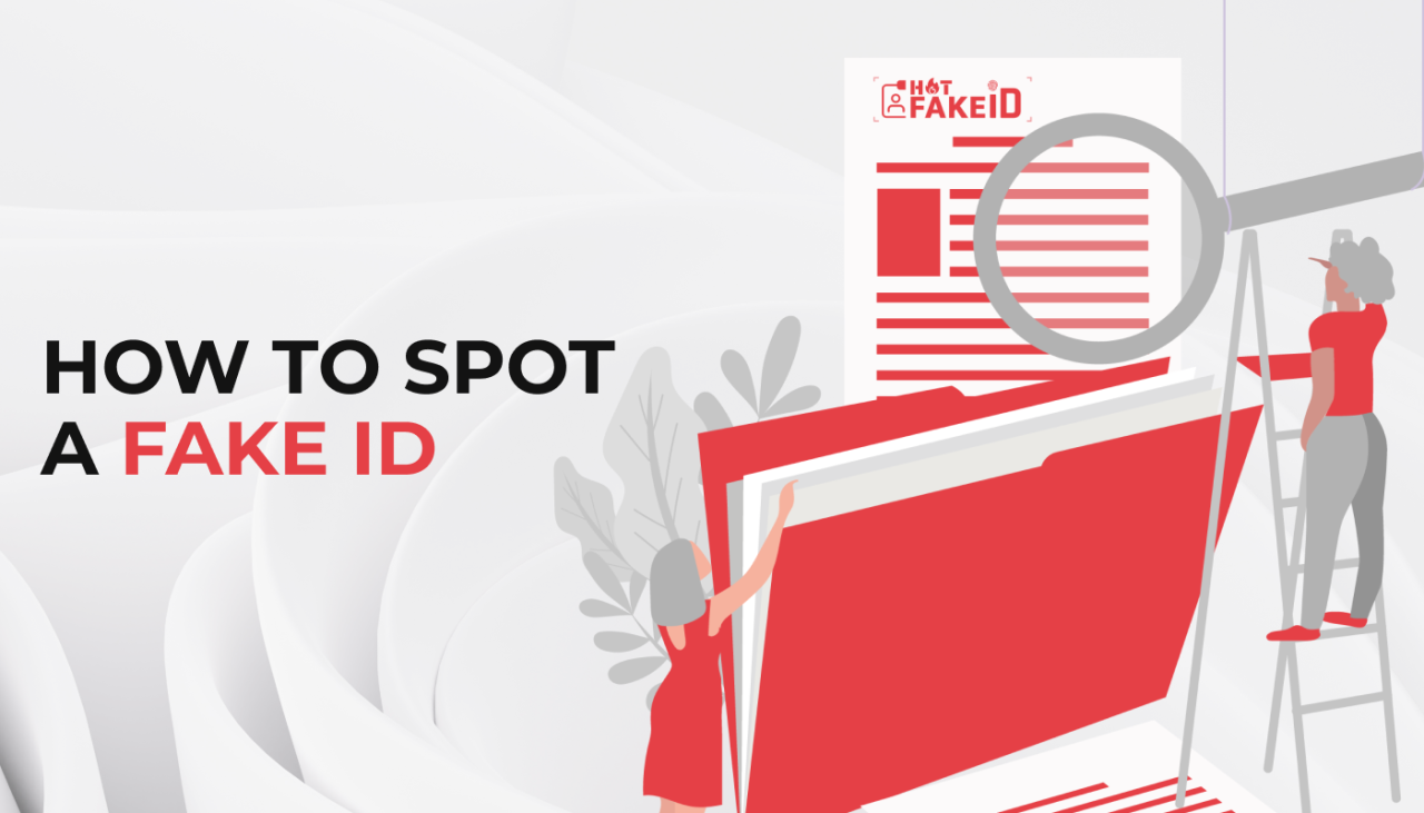 Fake ID Guide - Buy Scannable Fake ID - Hot Fake IDs Online